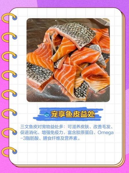 三文鱼皮的营养价值及禁忌_什么人不能吃三文鱼皮-第2张图片-山城妙识