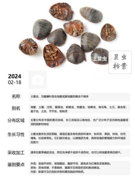 土鳖虫别名有哪些_土鳖虫别名叫什么-第2张图片-山城妙识