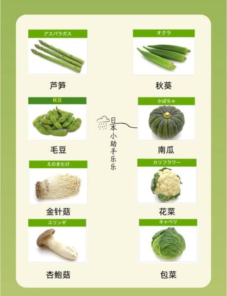 蔬菜大全名字有哪些_常见蔬菜名称大全-第1张图片-山城妙识