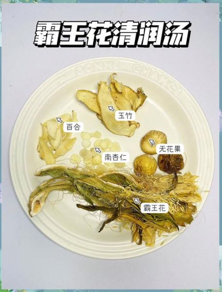 霸王花猪骨汤的做法_霸王花猪骨汤有什么功效-第1张图片-山城妙识