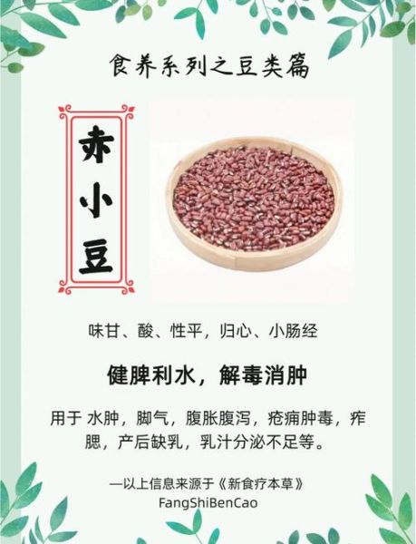 赤小豆煲汤的功效与作用_赤小豆煲汤适合什么人喝-第2张图片-山城妙识