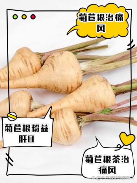 菊苣根能降血糖吗_菊苣根怎么吃最好-第1张图片-山城妙识