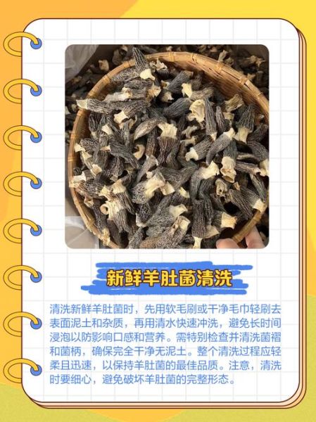 羊肚怎么洗才干净_羊肚去异味最简单方法-第2张图片-山城妙识