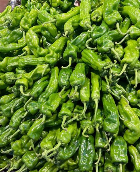 薄皮辣椒怎么挑选_薄皮辣椒辣不辣-第2张图片-山城妙识