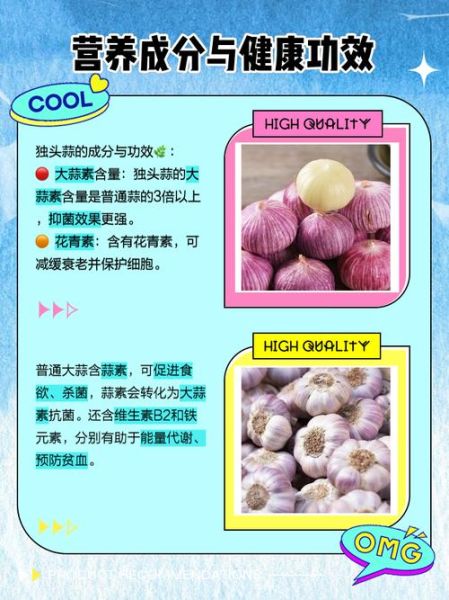 独头蒜和大蒜的区别_哪个营养更高-第1张图片-山城妙识