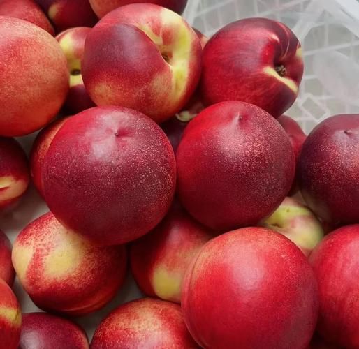 油桃的功效与禁忌_油桃吃多了会上火吗-第2张图片-山城妙识