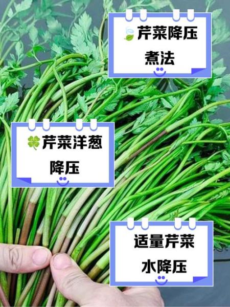 芹菜降血压吗_芹菜的副作用与禁忌-第3张图片-山城妙识