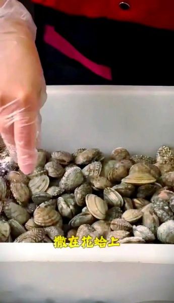 花蛤怎么洗_花蛤吐沙最快的方法-第1张图片-山城妙识