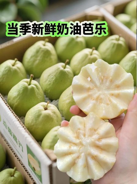 白心芭乐的功效与作用_白心芭乐怎么吃最好-第2张图片-山城妙识