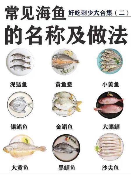 海鱼种类名字图片大全_如何快速识别常见海鱼-第1张图片-山城妙识 海鱼种类名字图片大全_如何快速识别常见海鱼-第1张图片-山城妙识