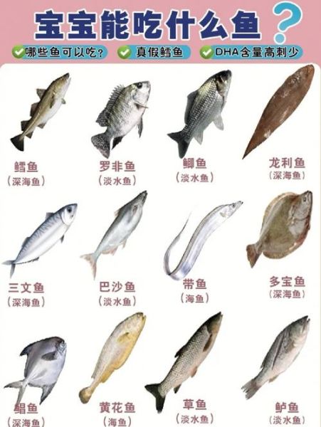 海鱼种类名字图片大全_如何快速识别常见海鱼-第3张图片-山城妙识 海鱼种类名字图片大全_如何快速识别常见海鱼-第3张图片-山城妙识