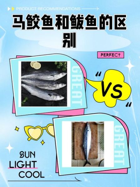 马鲛鱼和鲅鱼的区别_怎么区分马鲛鱼与鲅鱼-第1张图片-山城妙识