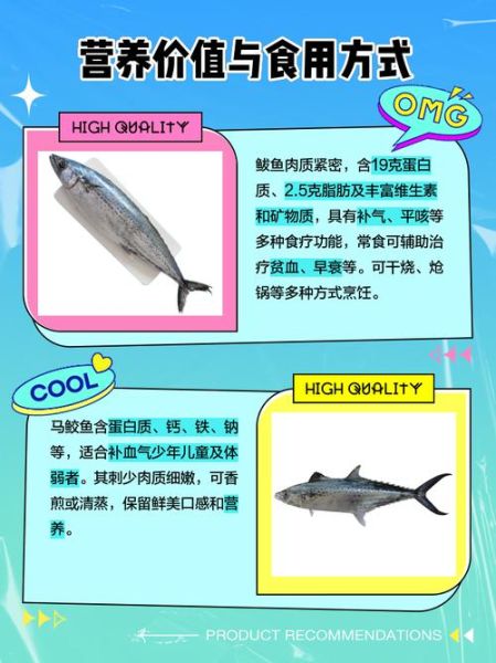 马鲛鱼和鲅鱼的区别_怎么区分马鲛鱼与鲅鱼-第3张图片-山城妙识