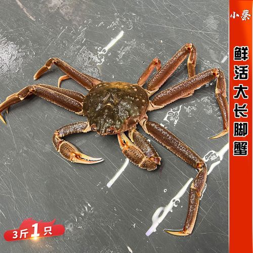 长脚蟹多少钱一斤_长脚蟹价格怎么算-第1张图片-山城妙识