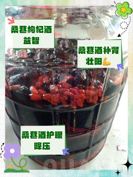 桑葚和什么泡酒最好_桑葚泡酒最佳配方-第2张图片-山城妙识