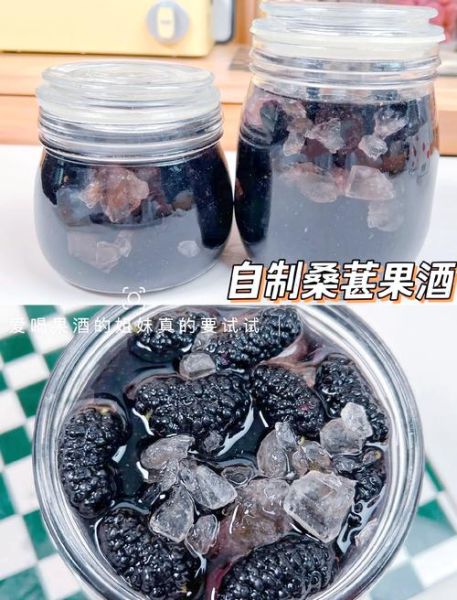 桑葚和什么泡酒最好_桑葚泡酒最佳配方-第1张图片-山城妙识