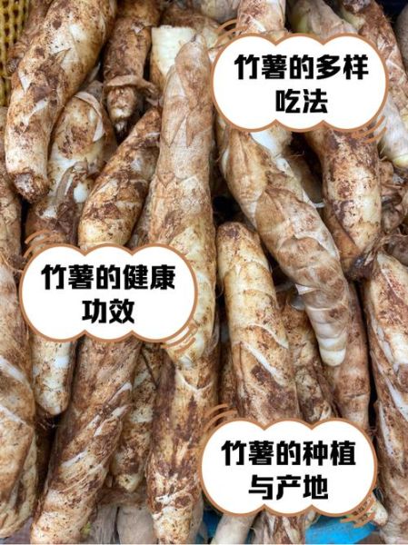 竹薯长什么样_竹薯和木薯的区别-第2张图片-山城妙识