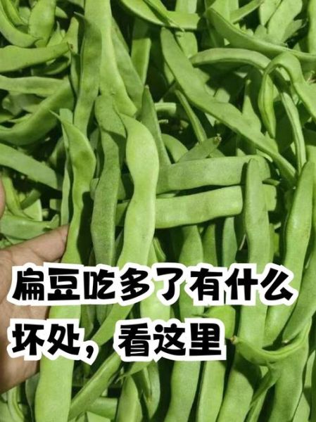扁豆不能和什么一起吃_扁豆相克食物有哪些-第2张图片-山城妙识