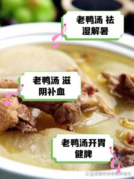 老鸭煲汤有几种方法_老鸭汤怎么煲最鲜-第1张图片-山城妙识