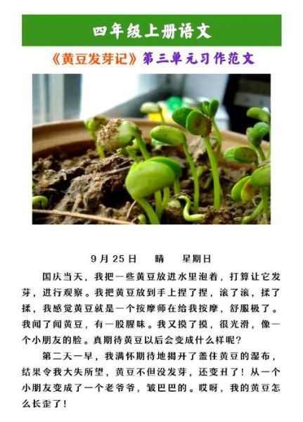 黄豆发芽需要几天_怎么写400字观察日记-第1张图片-山城妙识