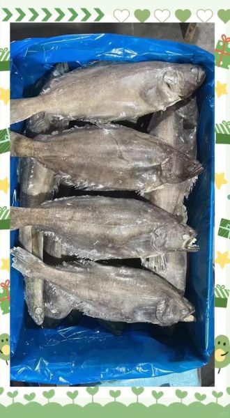 鲽鱼又叫什么鱼_比目鱼是鲽鱼吗-第2张图片-山城妙识