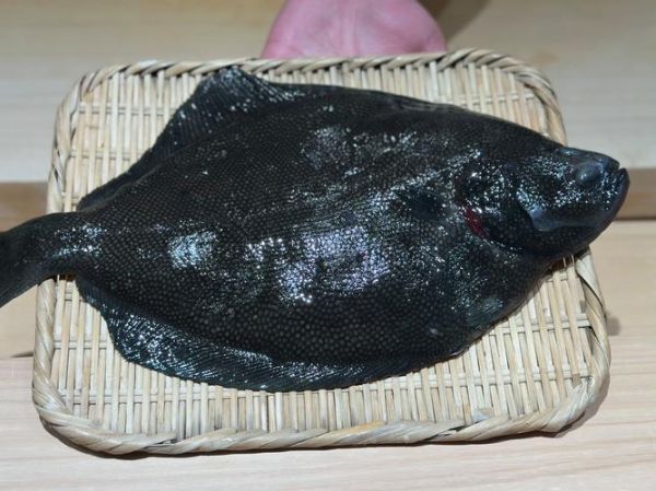 鲽鱼又叫什么鱼_比目鱼是鲽鱼吗-第3张图片-山城妙识