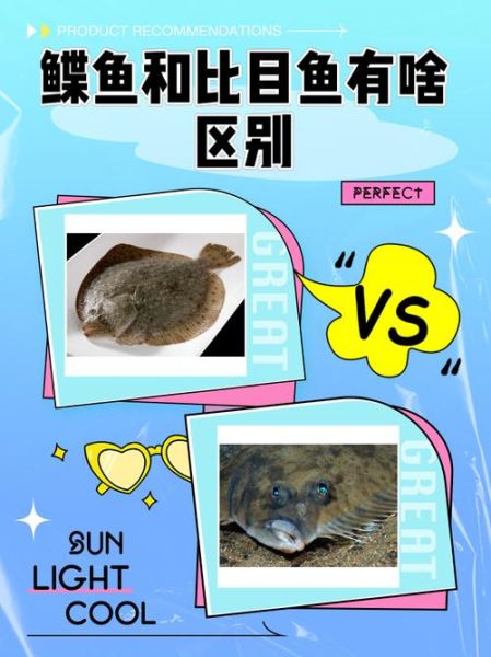 鲽鱼又叫什么鱼_比目鱼是鲽鱼吗-第1张图片-山城妙识