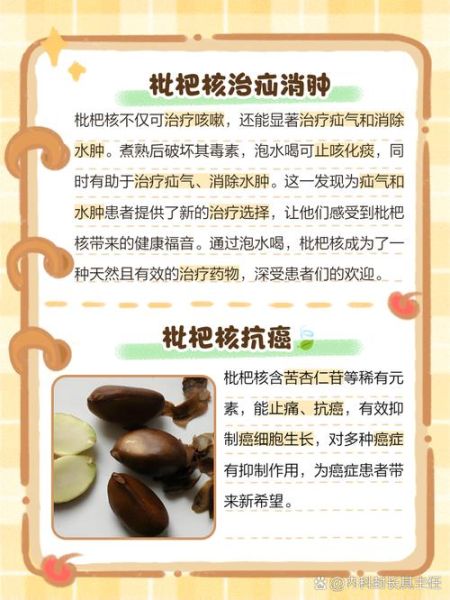 枇杷核能吃吗_枇杷核怎么吃才安全-第1张图片-山城妙识