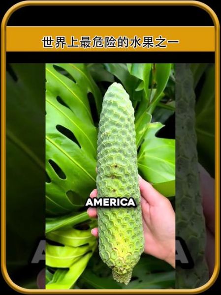 世界上最吓人的水果有哪些_恐怖水果能吃吗-第1张图片-山城妙识