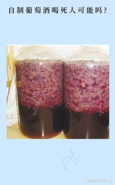 白葡萄酒怎么做_家庭自酿白葡萄酒步骤-第3张图片-山城妙识
