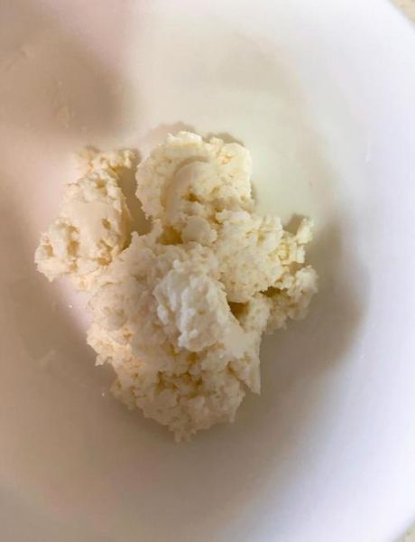 乳酪的做法_家庭自制乳酪怎么做-第1张图片-山城妙识