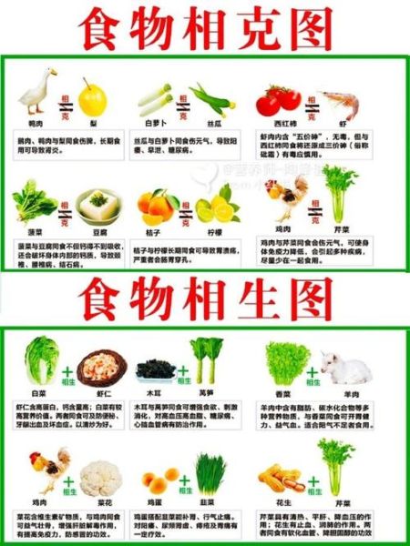 食物相克大全图_哪些搭配不能吃-第2张图片-山城妙识
