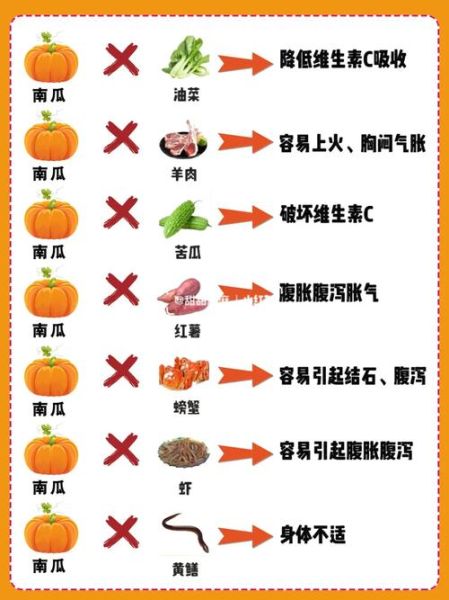 食物相克大全图_哪些搭配不能吃-第3张图片-山城妙识