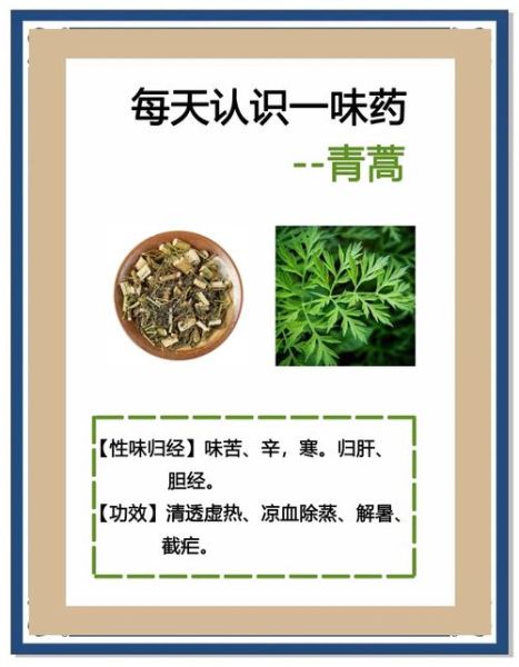 青蒿草的功效与作用_青蒿草能治疗哪些疾病-第2张图片-山城妙识