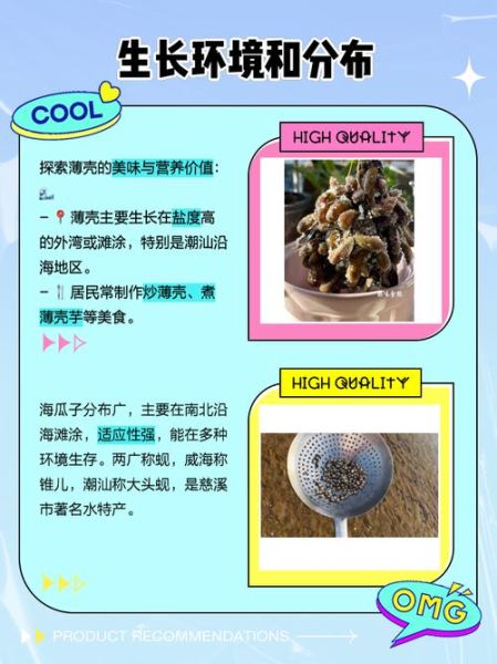 海瓜子种类怎么区分_三种海瓜子口感差异-第1张图片-山城妙识