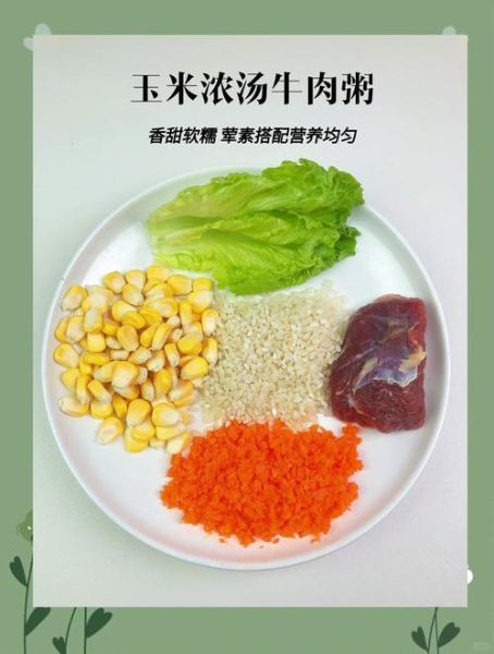 儿童牛肉粥怎么做_宝宝辅食牛肉粥做法大全-第2张图片-山城妙识
