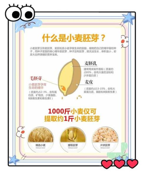 小麦胚芽怎么吃最好_最佳食用方法-第3张图片-山城妙识