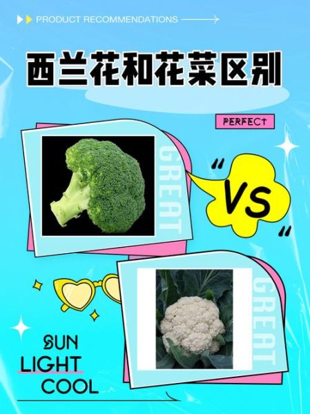 西兰花和花菜的区别_哪个更有营养-第1张图片-山城妙识