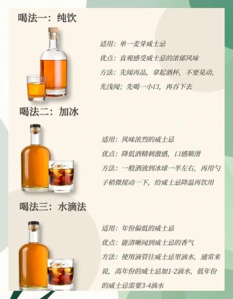 威士忌怎么喝比较好喝_威士忌入门最佳喝法-第3张图片-山城妙识