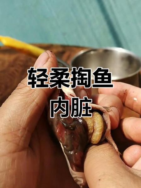 面条鱼内脏怎么处理_内脏清理技巧-第3张图片-山城妙识