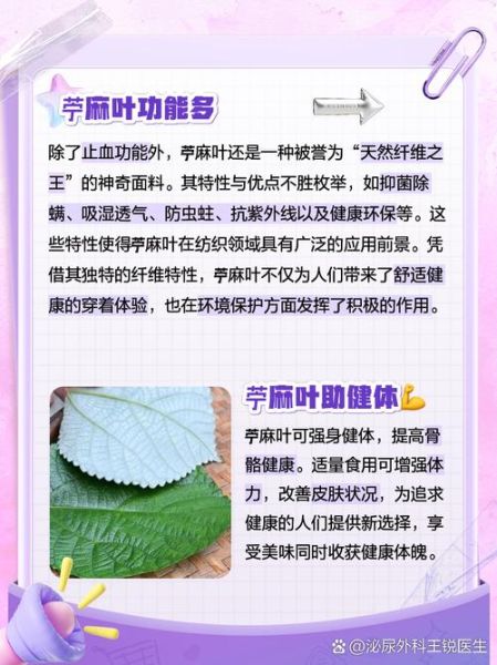 麻油叶是什么植物_麻油叶的功效与作用-第2张图片-山城妙识