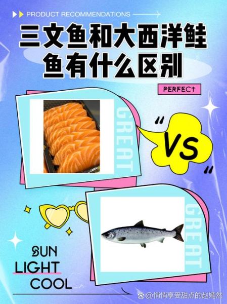 三文鱼和鲑鱼是一种鱼吗_区别与选购指南-第1张图片-山城妙识