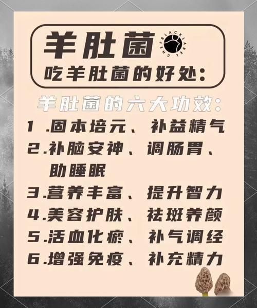 羊肚菌的功效与作用_羊肚菌怎么吃最好-第2张图片-山城妙识