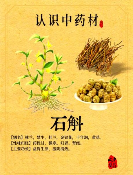 金钗石斛花有什么功效_金钗石斛花怎么吃效果最好-第3张图片-山城妙识 金钗石斛花有什么功效_金钗石斛花怎么吃效果最好-第3张图片-山城妙识