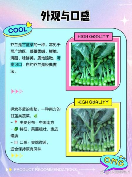 芥兰和芥蓝的区别_芥兰是芥蓝吗-第3张图片-山城妙识
