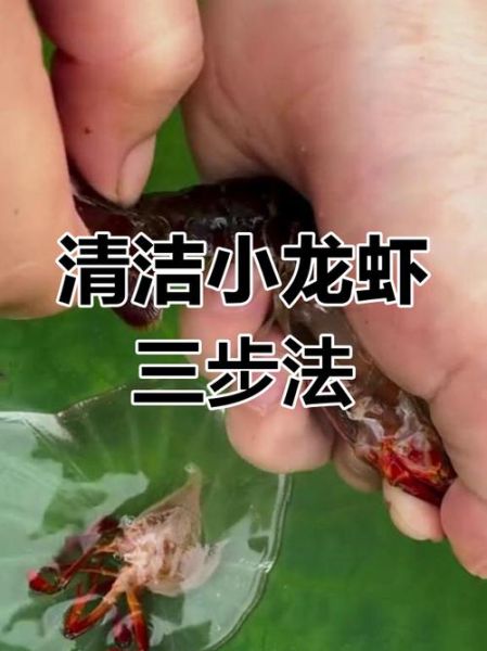 小龙虾头能吃吗_小龙虾头怎么处理才安全-第2张图片-山城妙识 小龙虾头能吃吗_小龙虾头怎么处理才安全-第2张图片-山城妙识