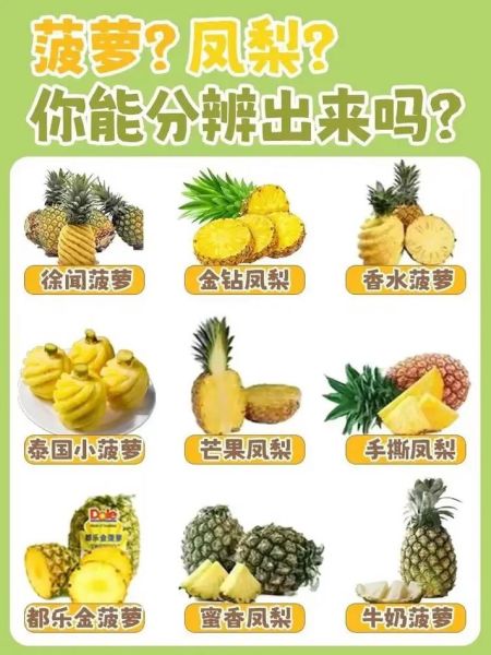 凤梨和菠萝哪个甜_凤梨和菠萝味道区别-第3张图片-山城妙识 凤梨和菠萝哪个甜_凤梨和菠萝味道区别-第3张图片-山城妙识