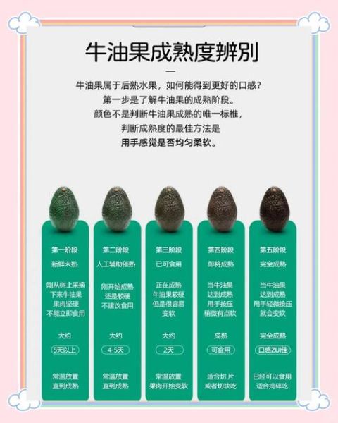 牛油果怎么挑选_牛油果怎么保存-第2张图片-山城妙识