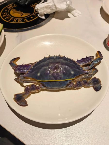 蓝蟹和梭子蟹的区别_哪个更好吃-第2张图片-山城妙识