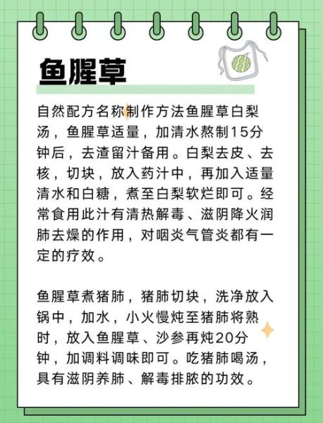 鱼香草的功效与作用_鱼香草怎么吃效果最好-第2张图片-山城妙识